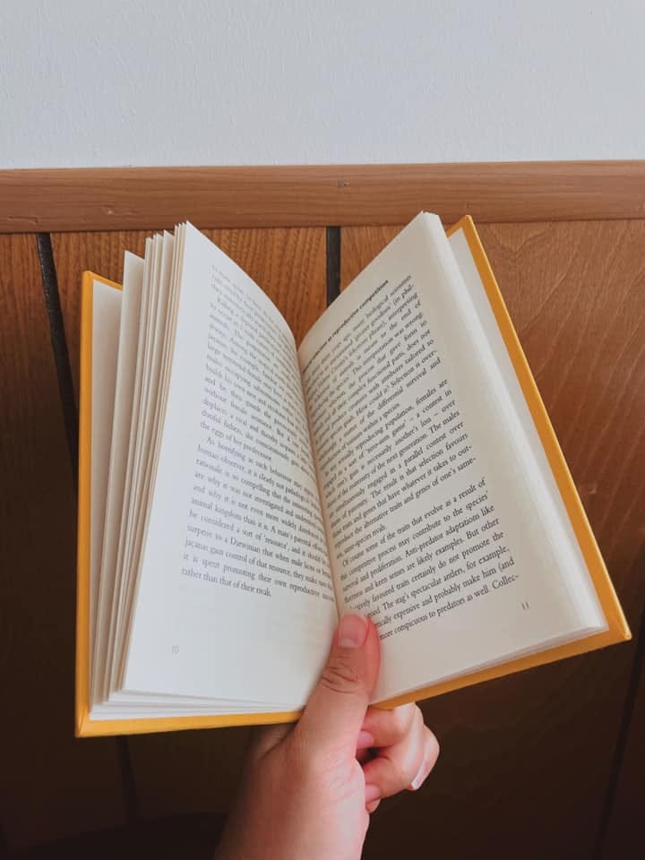 How to read English books: 3 ways to help you understand what you are ...