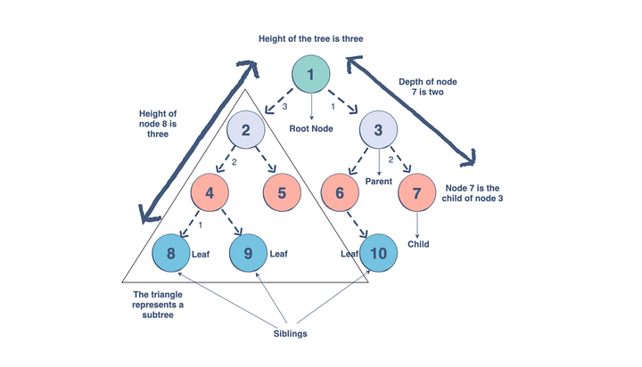 Algorithms 101 How To Implement Tree Traversal In Javascript By The Educative Team Dev
