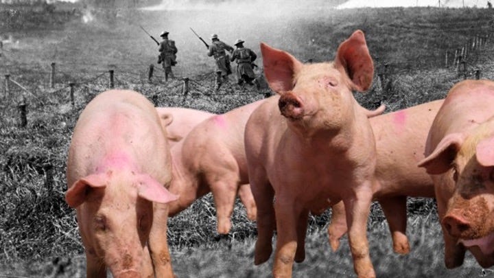 Add Black Sabbath’s “War Pigs” to Your Heavy Metal Playlist | by Walter ...