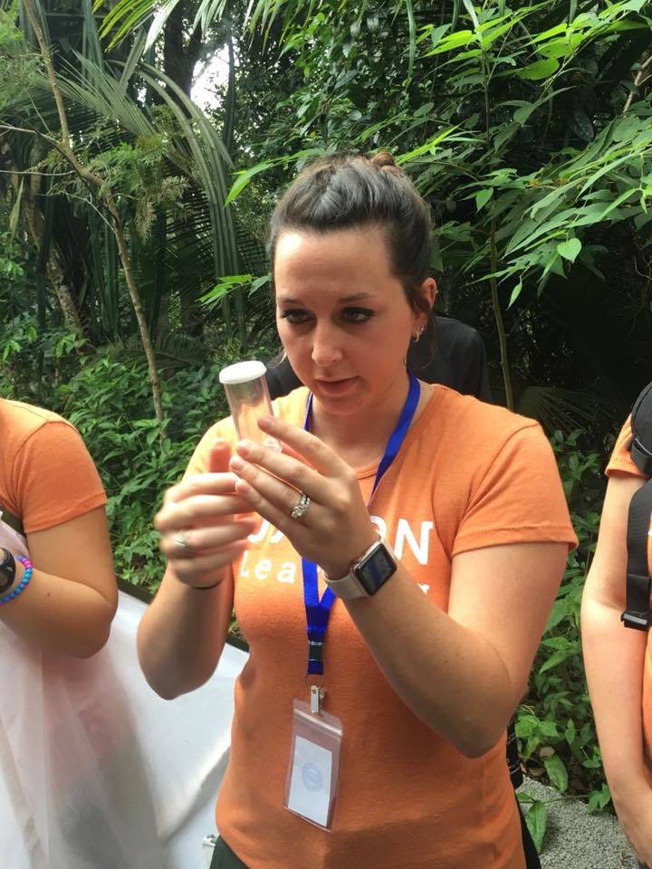 Penang Hill BioBlitz Argonaut Update — Tabitha Jones | by JASON ...