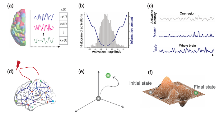 Stay updated with Neuroscience: October 2021 Must-Reads | by Stefano Bosisio | Towards Data Science