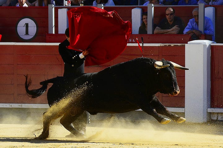 The Matador. A story of the greatest fight in Spain | by Veronica ...
