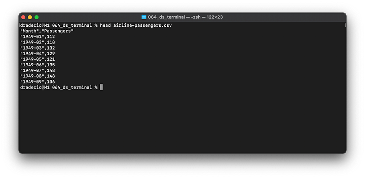 Top 10 Terminal Commands Every Data Scientist Should Know | by Dario ...