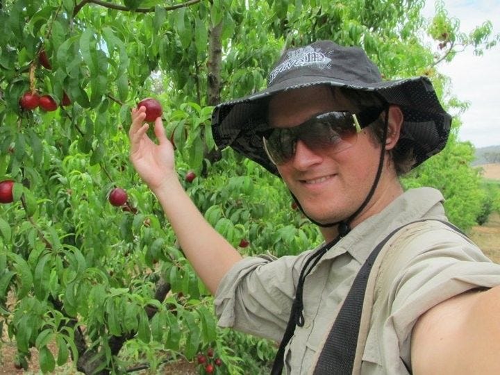 In praise of high-hanging fruit. At Atlassian, we all know and love ...