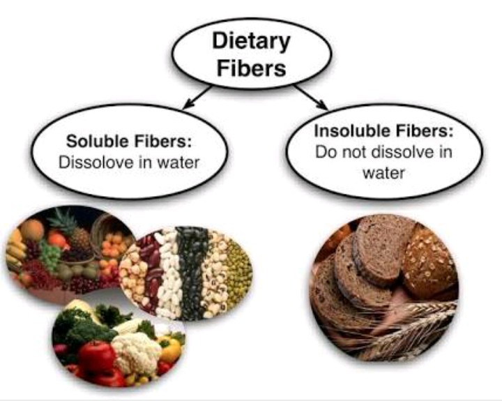 Dietry fibers. Fiber is important for absorption and… | by Khadija ...