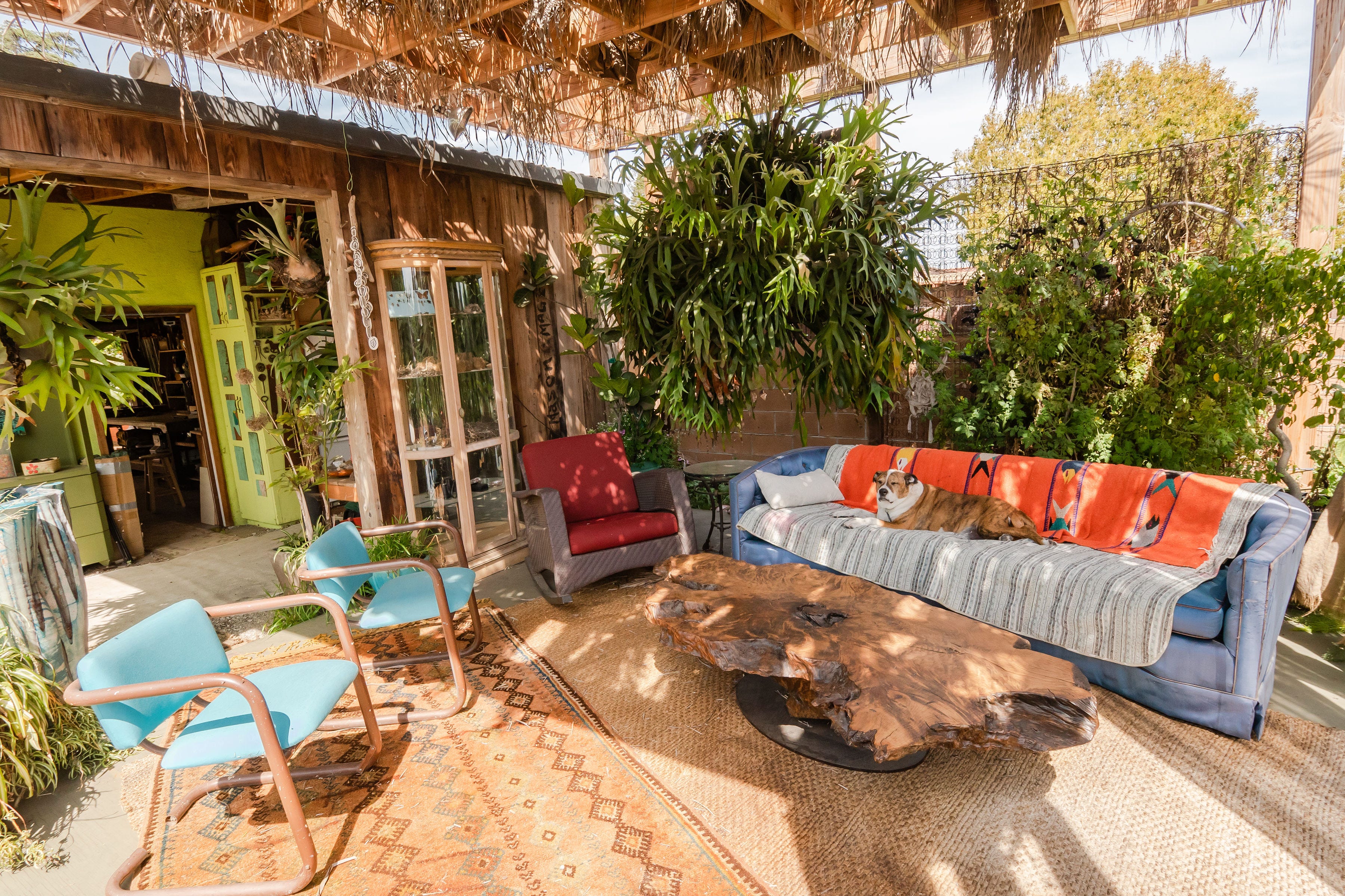 A Virtual Garden in Missouri, a Food Refuge in Los Angeles | by Nadine ...