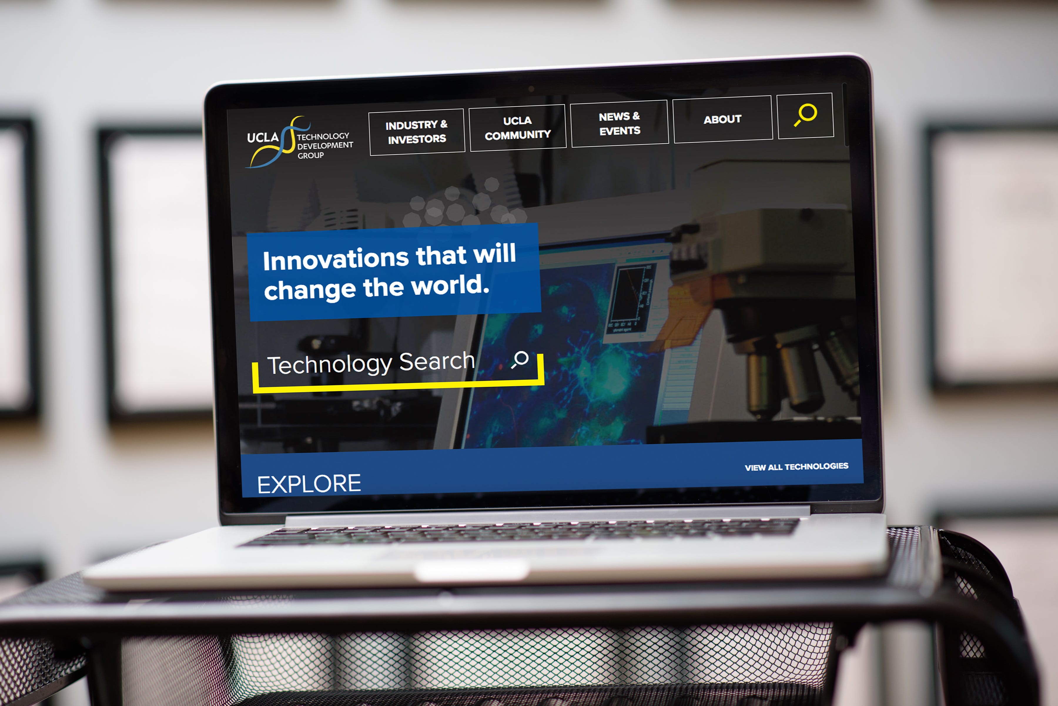 A Brief Look at the Science of Web Design & Development | by Gravity ...