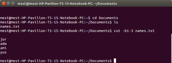 Insights into Basic Ubuntu commands. | by Nana Ama Agyeman | Medium