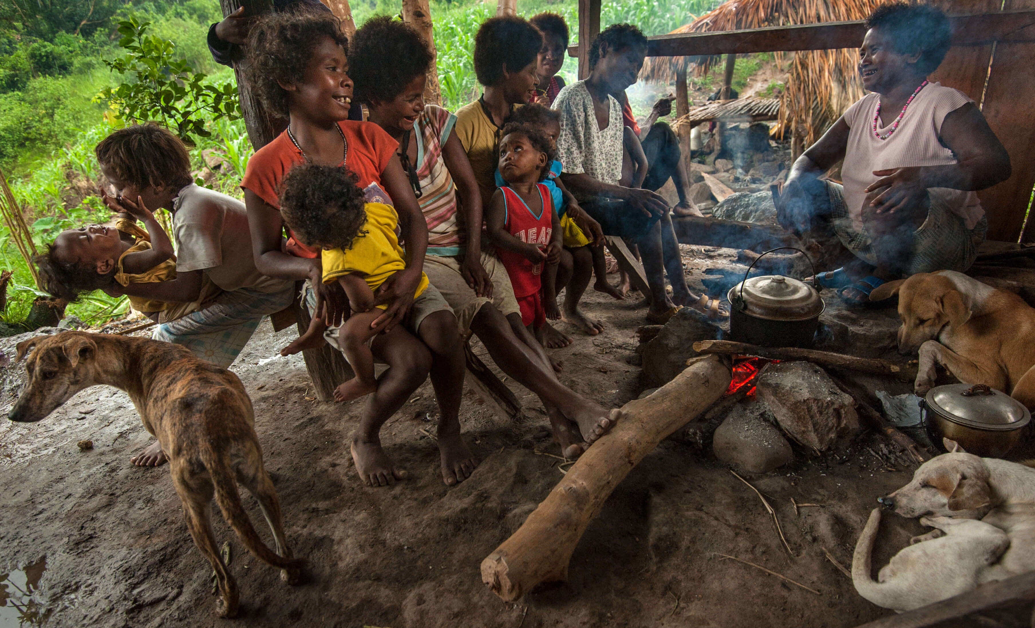 The storytelling tribe: how stories help us cooperate | by Laura Peek ...
