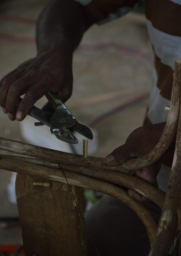 Lantana Pencils and Rocking Horses | by anjana balakrishnan | Centre ...