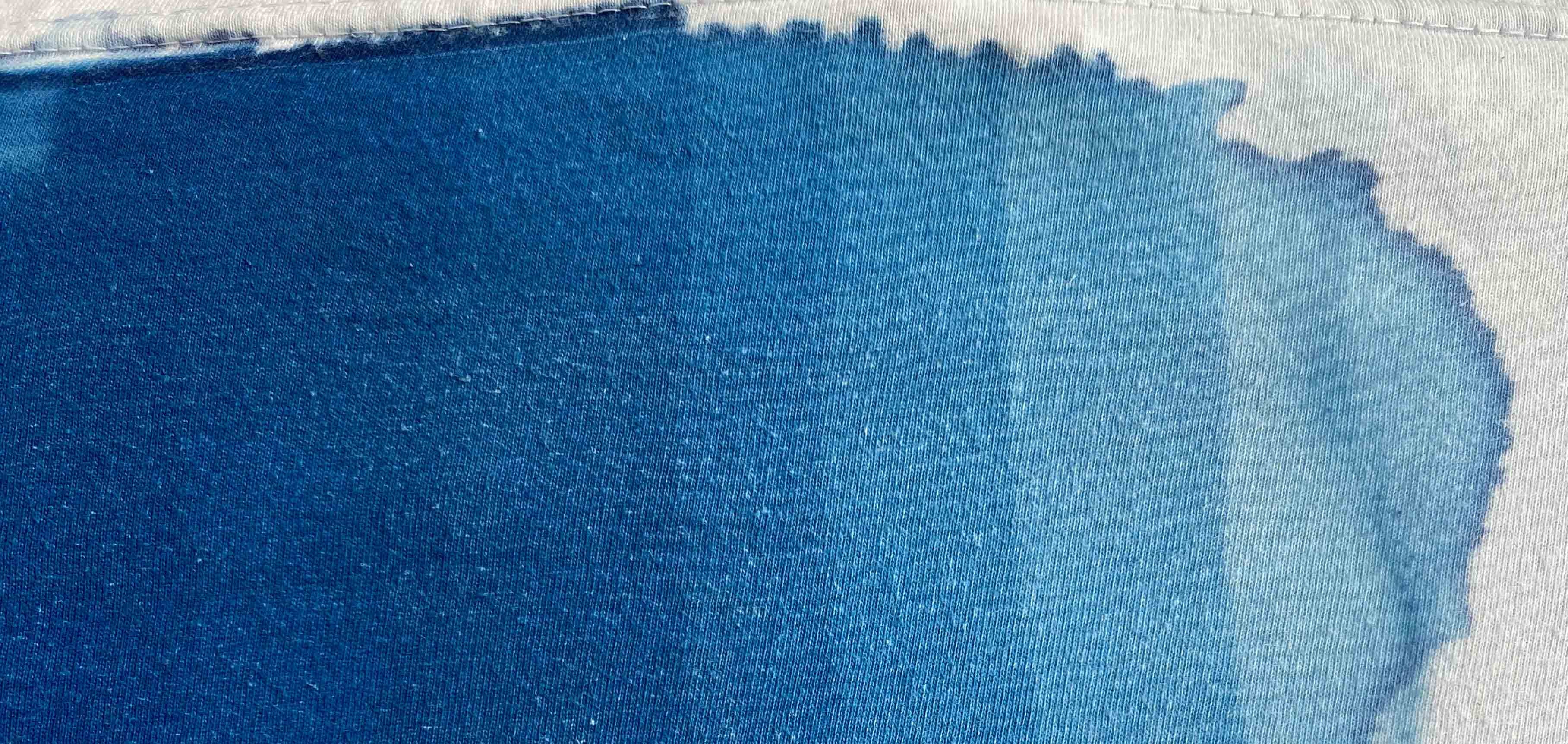 An extensive guide to Cyanotype Photography | by Charley Vision ...