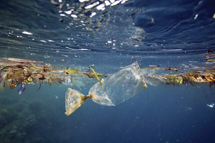 Where does your trash end up?. Today, there is an estimated 8 million ...