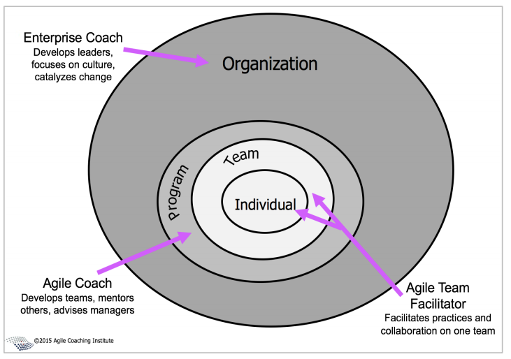 On agile coaching. I am often asked how to develop as an… | by Luke ...