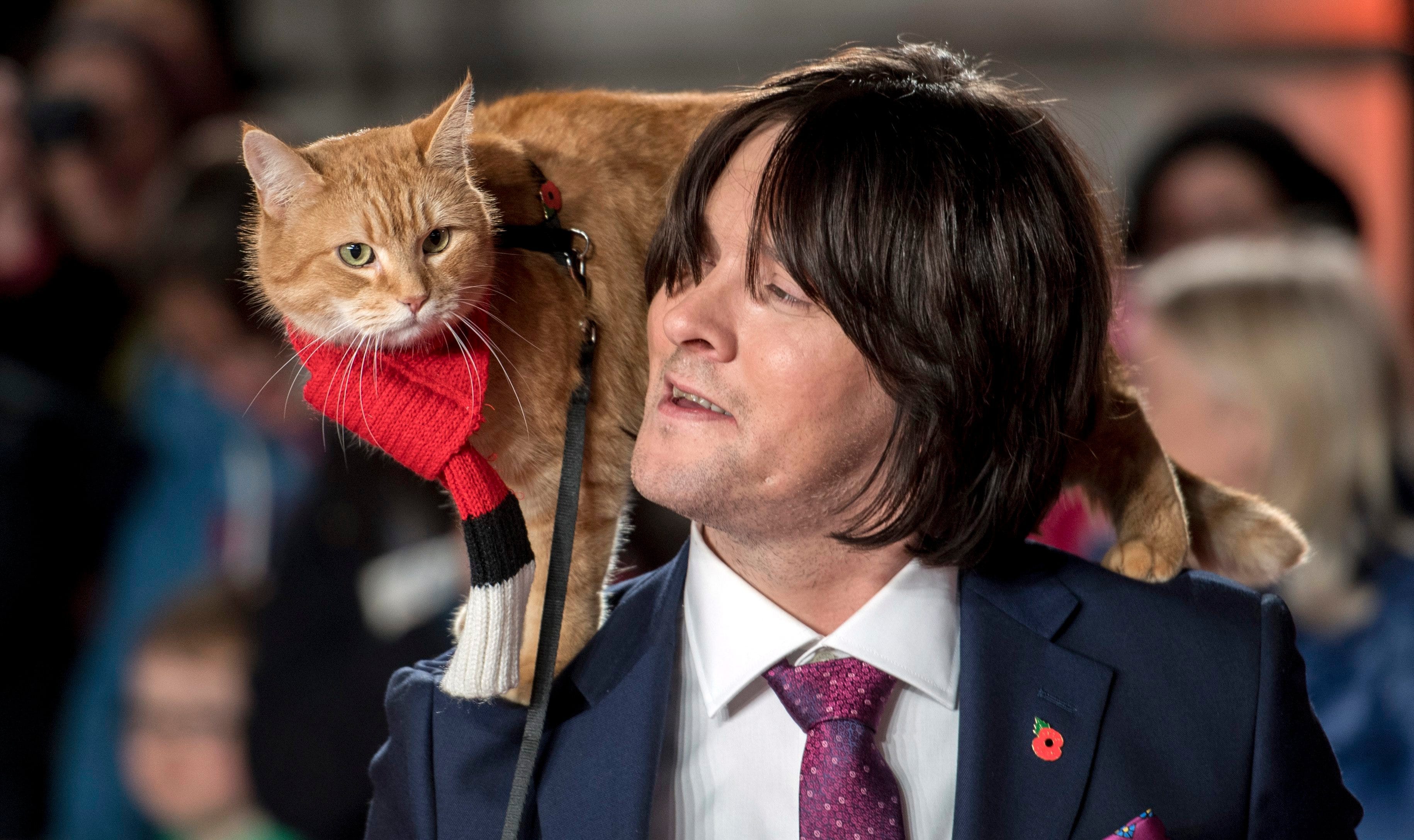 Bob The Street Cat. The Cat Who Saved A Man’s Life | by Zac Malik ...