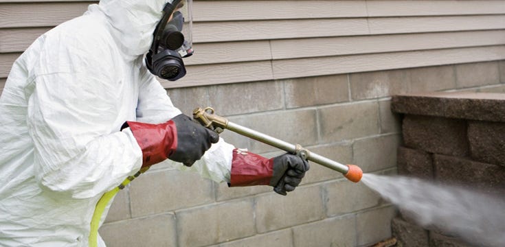 Why are Termites Called the Silent Destroyers | by Charleston Pest ...