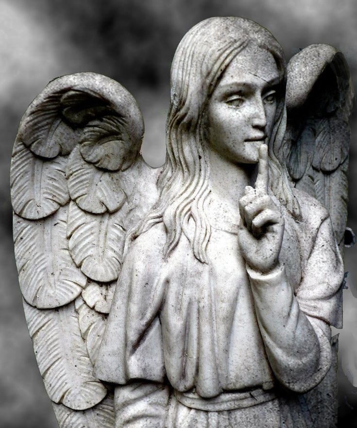 Angel Dust. A rush a rush a rush A blush. Life… | by Nazam | Medium