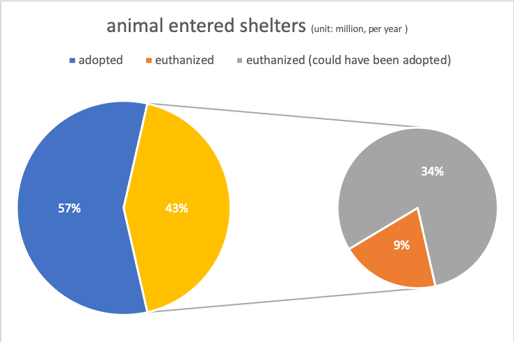 Turn Data into Life: What can analytics do for animals? | by Yuanyuan ...