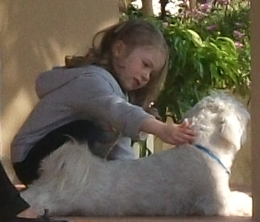 How To Care For Animals. This E-Book will tell you all the… | by lucia ...