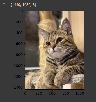 Visualizing Kernels and Feature Maps in Deep Learning Model (CNN) | by ...