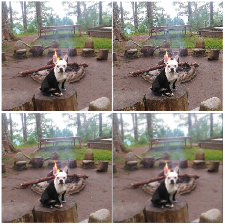 Image Processing With Python Blurring And Sharpening For Beginners
