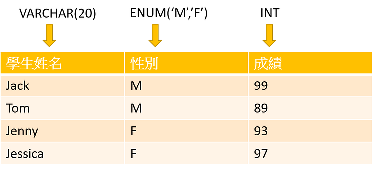 MySQL 學習筆記(四) — MySQL中的資料類型 Data Type — 如何創建tables資料表?如何操作資料表? — 快速為自己創建一個資料表 | by Chwang | Medium