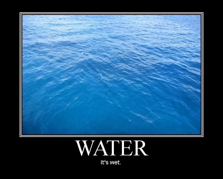 In other News, Water is Wet. Race matters in investment decisions | by ...