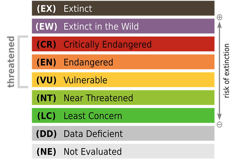 Facts About Threatened Species. Why should we care about them? | by ...