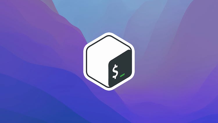 Bash for Beginners in 37 Lessons. Learn how to master the Linux/MacOS… | by Razvan L | May, 2022 ...