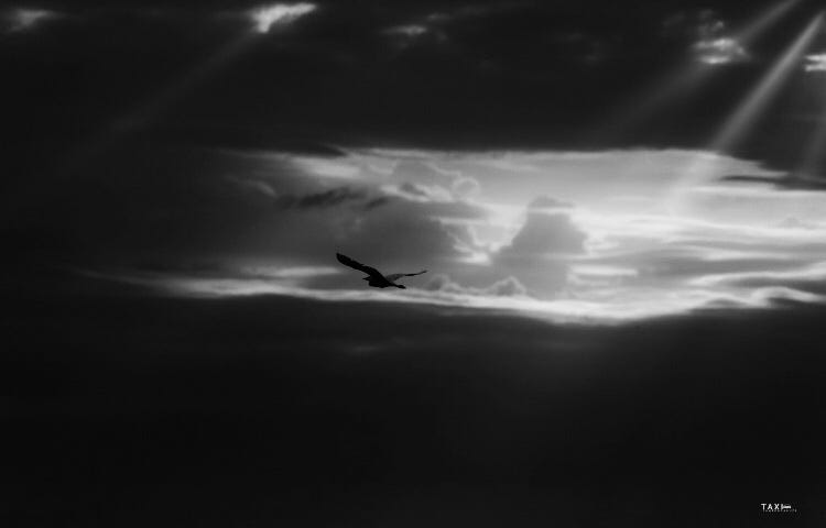 I look for myself. I look for myself | by Forbin Audrey | Medium