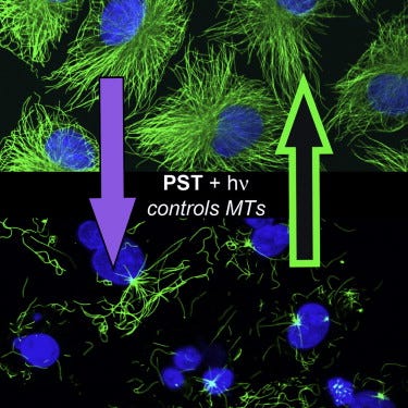 Illuminating Medicine: Cancer Drugs with a Light Switch | by STM Digest ...