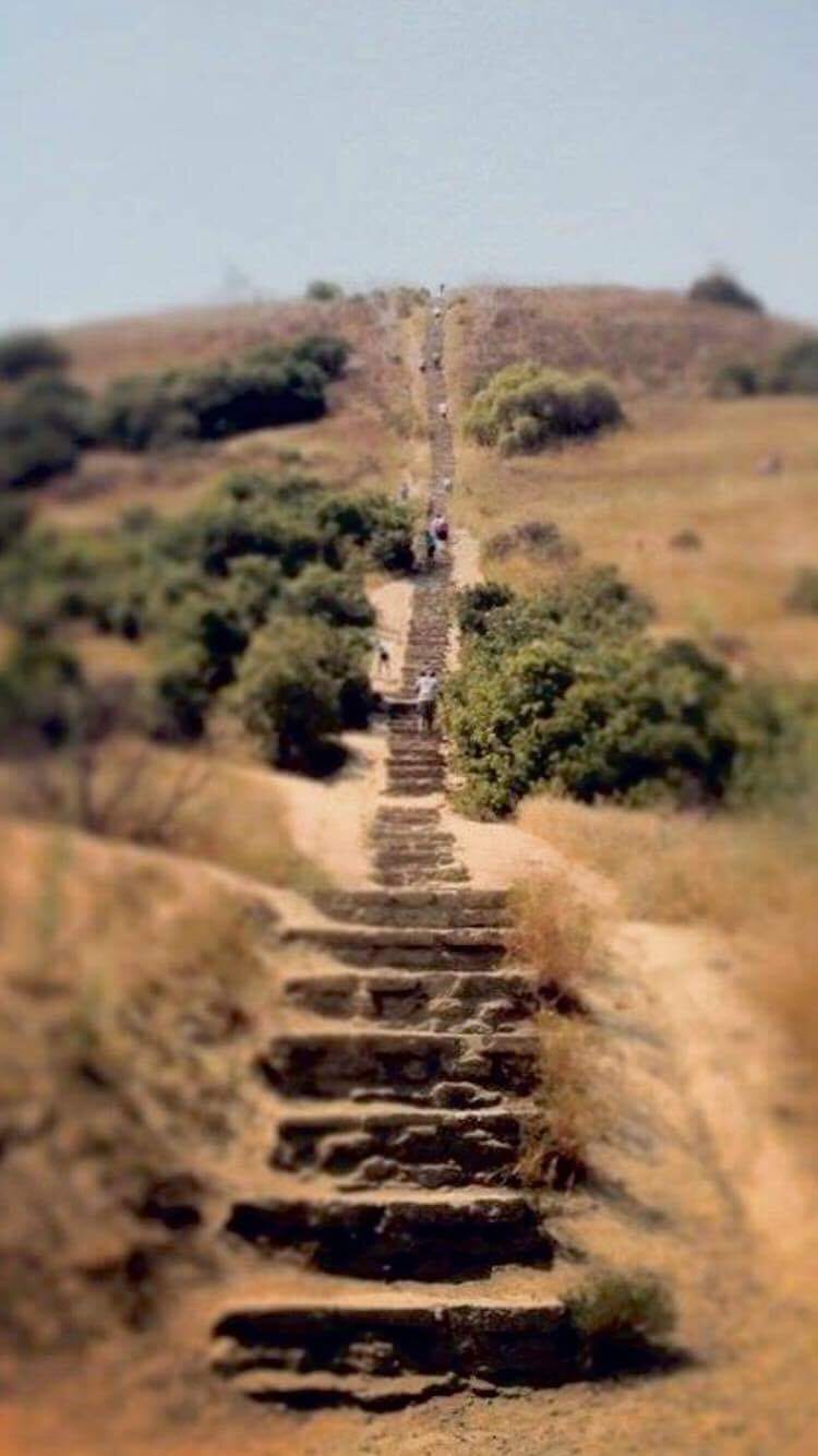 Ten Thousand Steps. Don’t follow me, | by Richard Palmquist, DVM GDVCHM ...