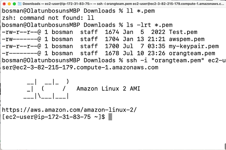 Using EC2 to host a website in AWS and Deliver Web content via BASH script. | by Bosun Olisa ...