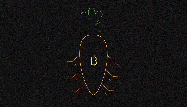 What is BIP?. A Bitcoin Improvement Proposal (BIP) is… | by Sunflower ...
