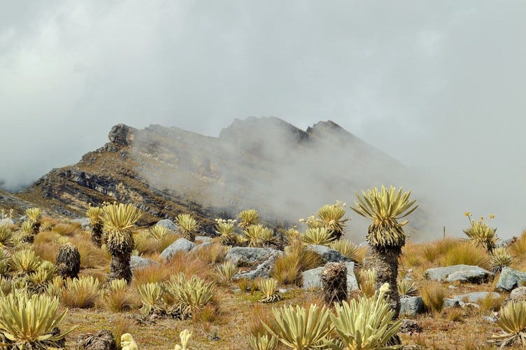 The complete guide to hiking El Cocuy National Park in Colombia | by ...