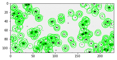 Water Sensitive Paper Analysis. Introduction | by Hugo Pires | Codefarm ...