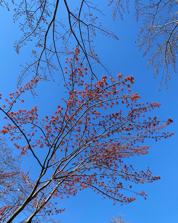 Seasons Ebb and Flow. A poem for The Lark poetry contest | by Barb ...