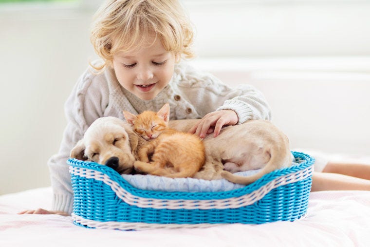 Informative facts about Pets. Pets are those domestic animals that ...
