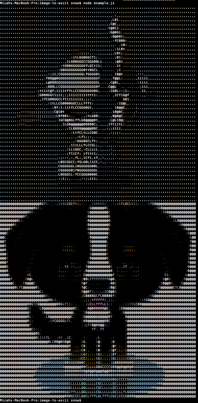 How to run the example code provided by image-to-ascii | by Micah Breitenstein | Medium