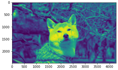 OpenCV for Image Processing. In this story, I’m going to highlight ...