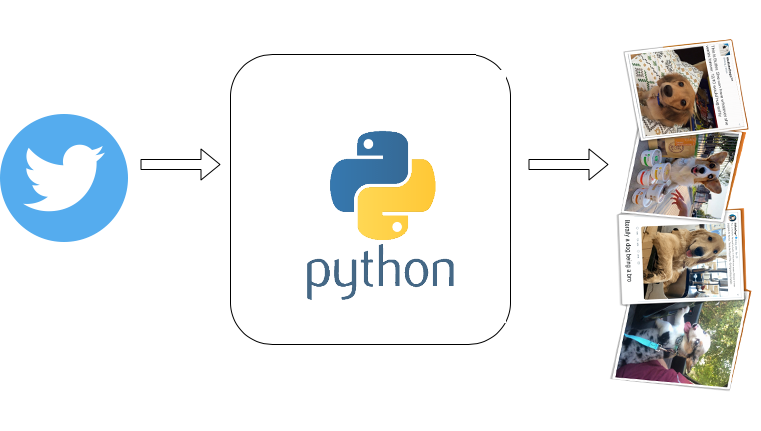 How to use twitter API for data analyzing? | by Faisal Alsaeed | Medium