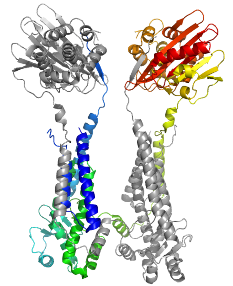How to predict protein structures with AlphaFold 2 using ColabFold | by LucianoSphere | Advances ...
