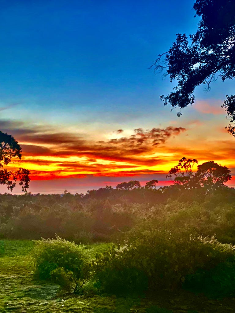 Our Last Winter in Aireys Inlet (2022) | by David Wade Chambers ...