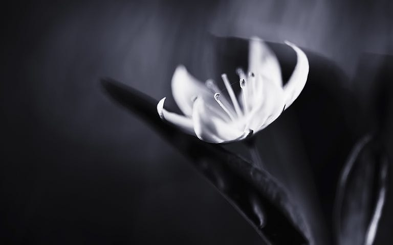 Andrew Owen Medium