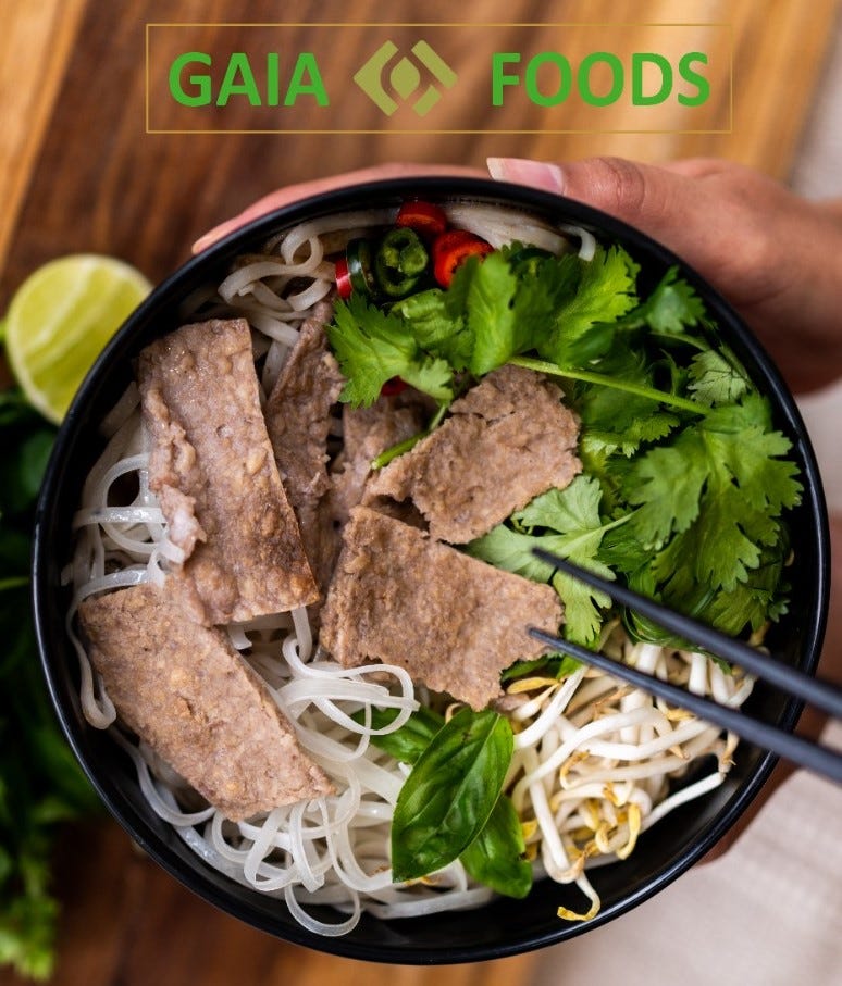The Art and Science of Cultured Meat | by Gaia Foods | Medium