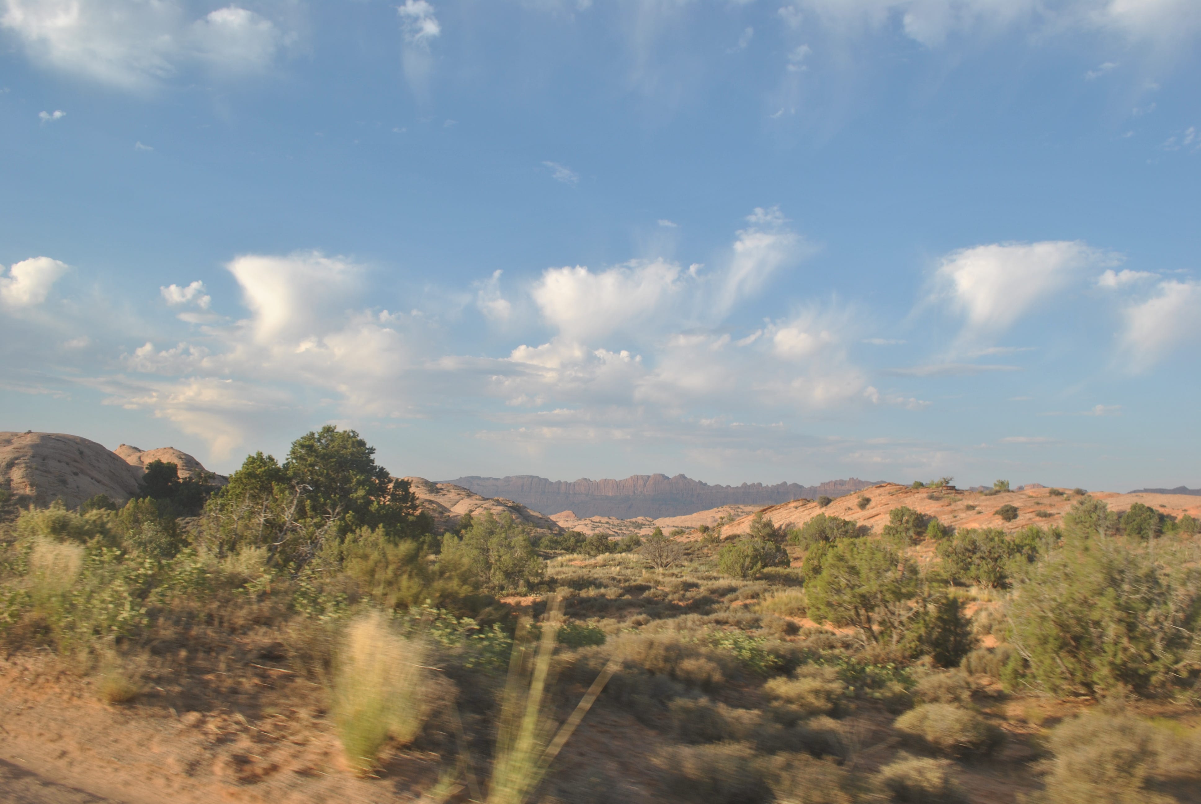 Fins & Things — Day 10. There are not many things I will get up… | by ...