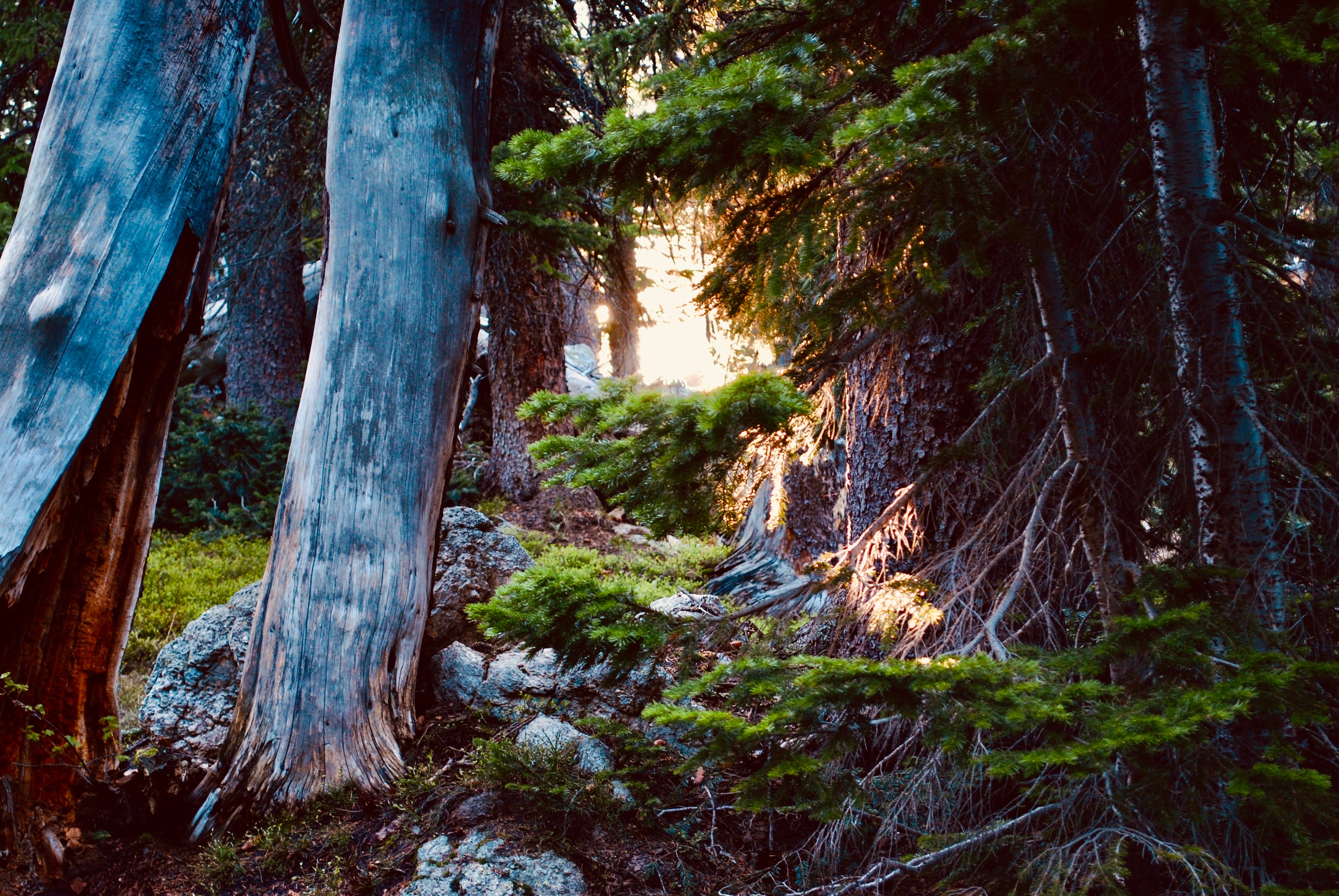 Reflections and Echoes - The Mad River - Medium