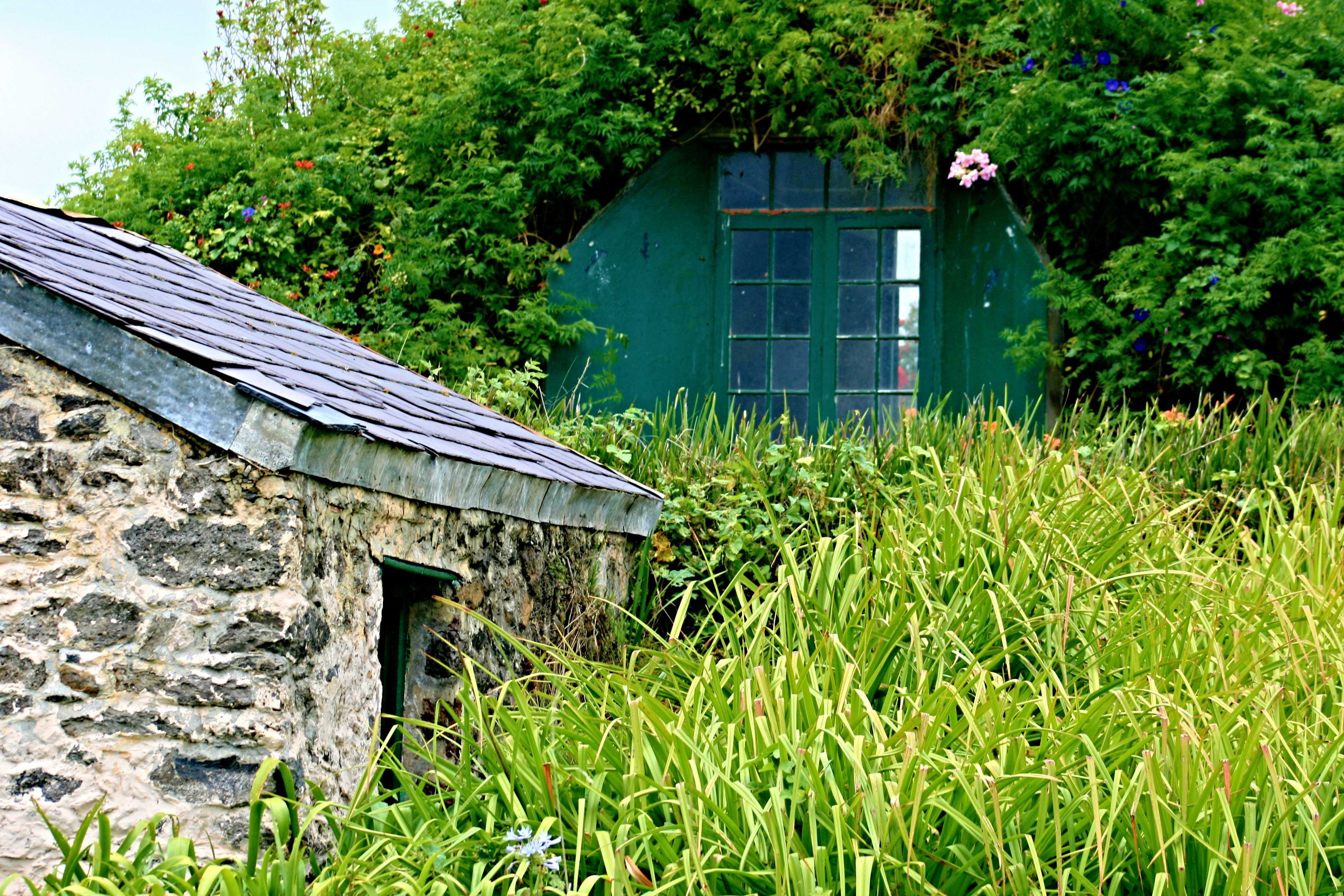 A Tour of St Helena. Historical, scenic, and beautiful. | by Matt Ray ...