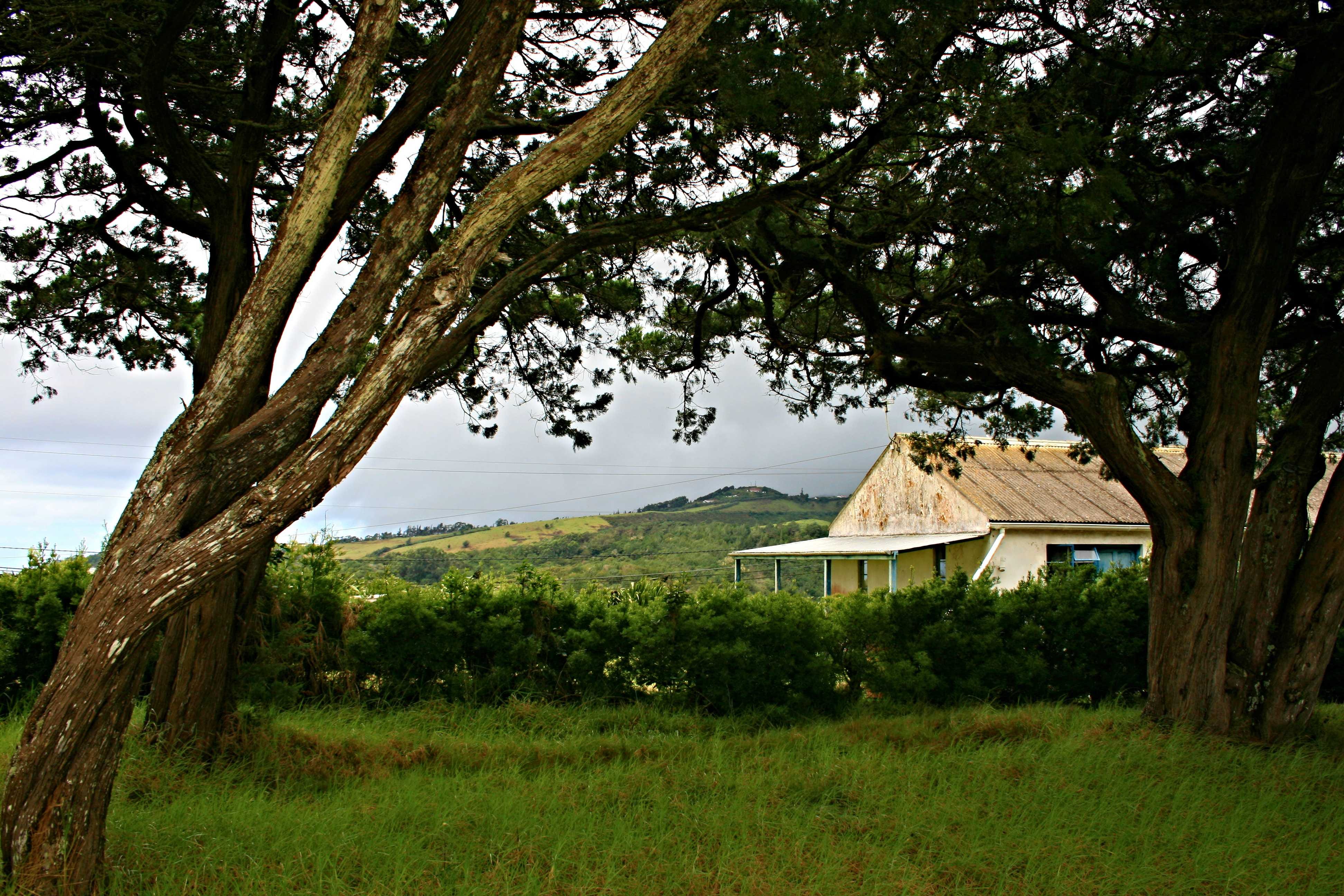 A Tour of St Helena. Historical, scenic, and beautiful. | by Matt Ray ...