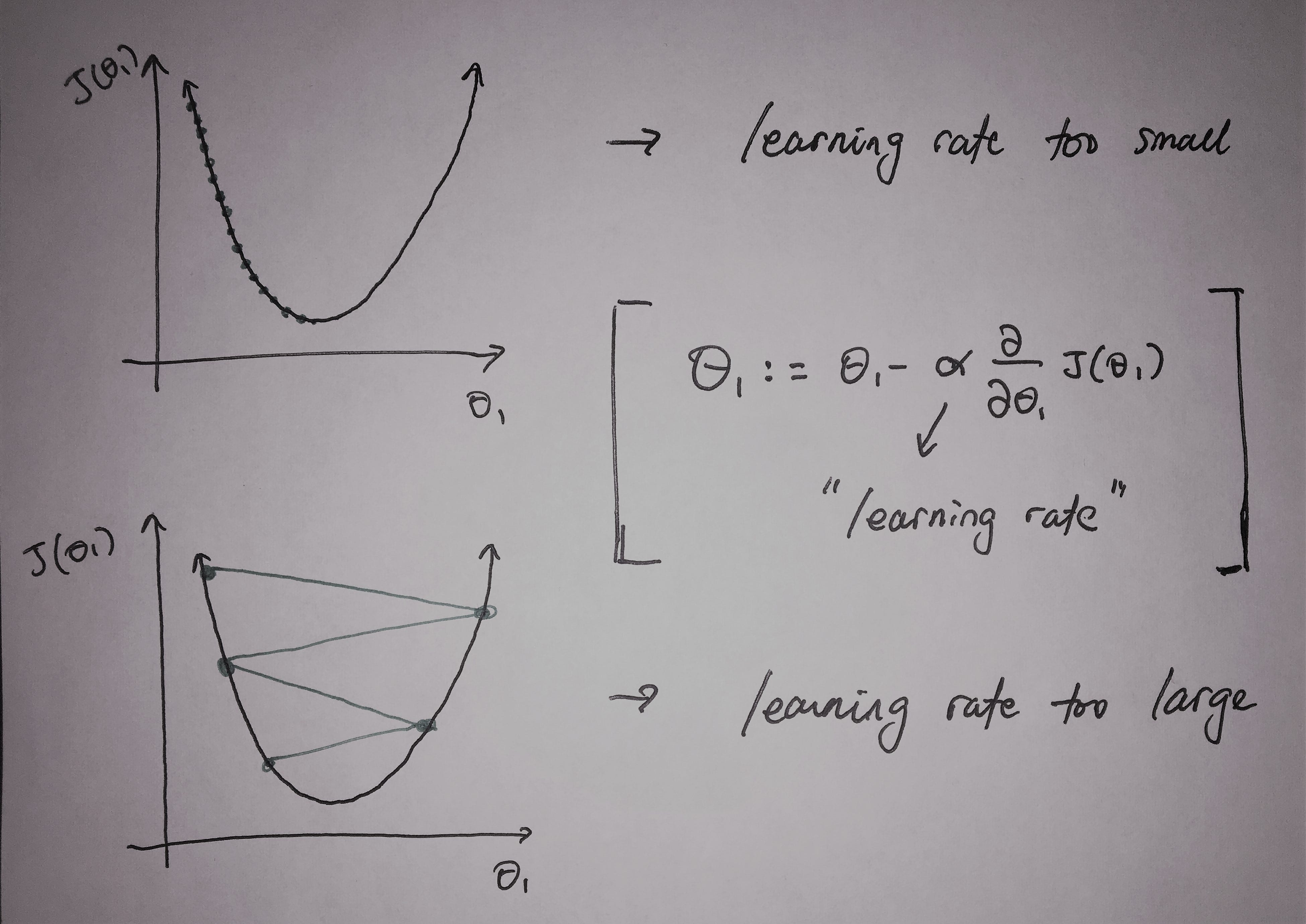 Machine Learning: Gradient Descent | by Jacky Feng | Medium