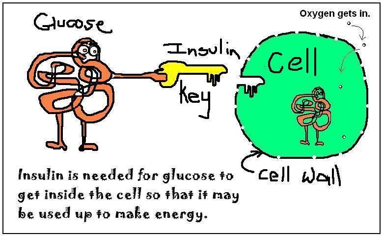 Diabetes — Don’t Sugar Coat it. Hello ! This is the first article in ...